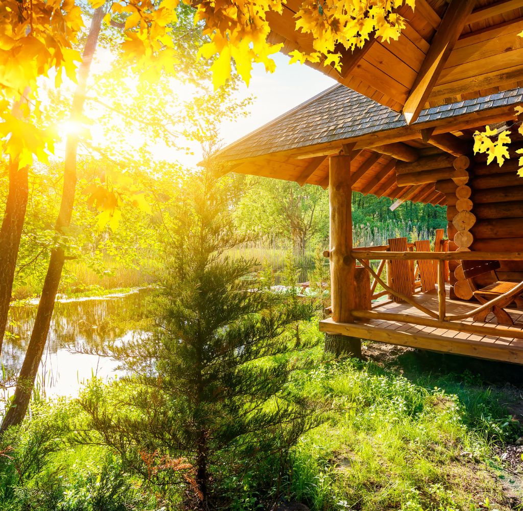 Your Dearm Farmland | Managed Framlands Near Chennai – Mharan Farms